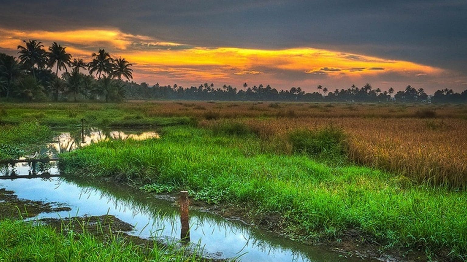 Why Kerala Is Called 'God's Own Country' – Iris Holidays