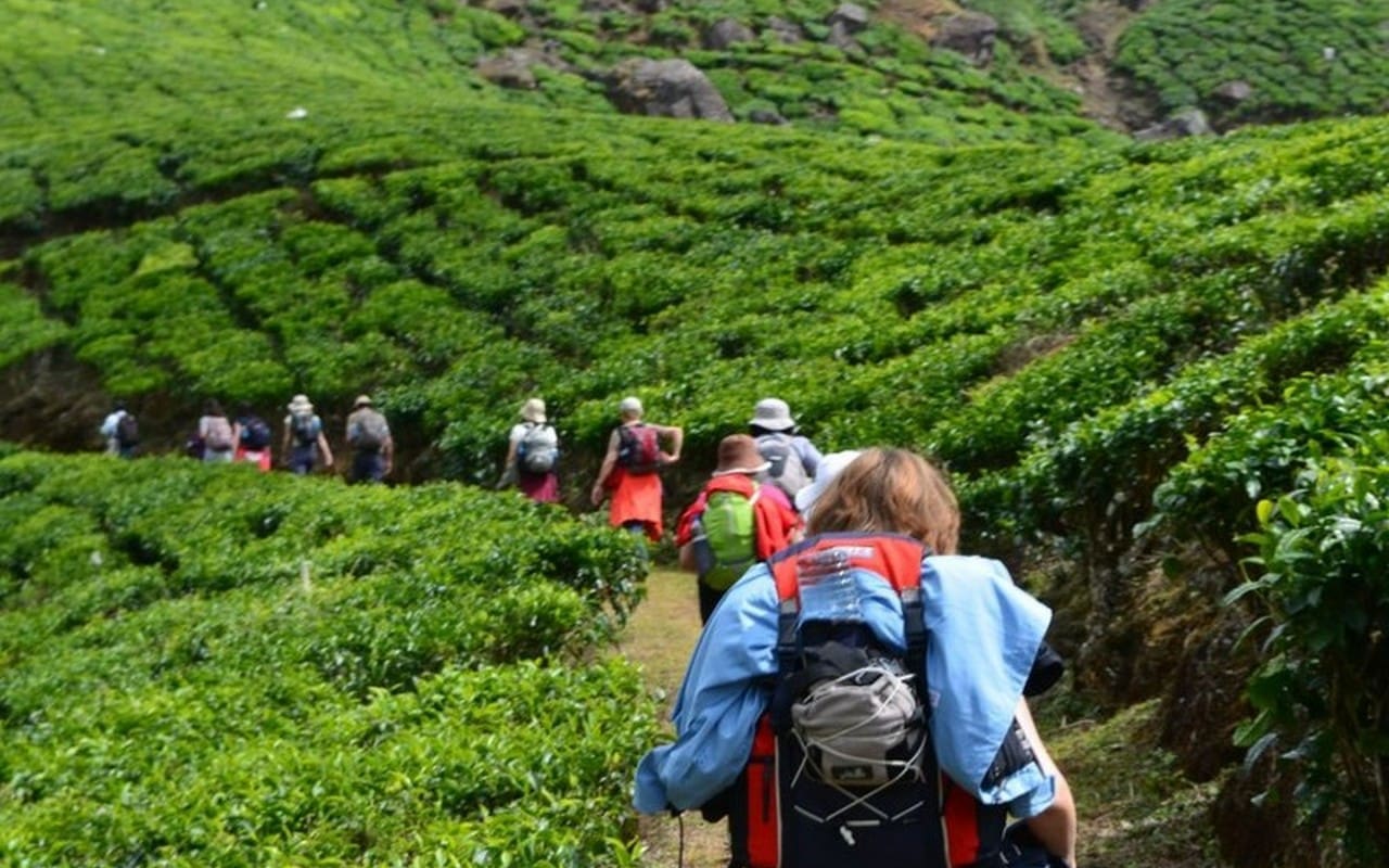 Best Time To Visit Munnar- Summer, Winter Or Monsoon? – Iris Holidays