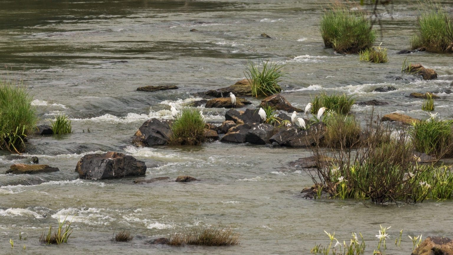 When Is The Best Time To Visit Coorg-Weather, Temperature & Season ...