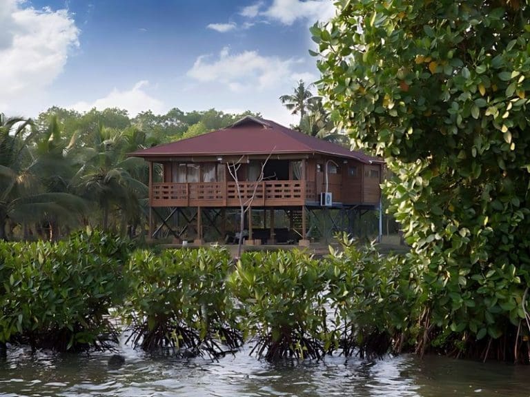 Things To Do In Munroe Island-Top 10 Activities In This Hidden Gem ...