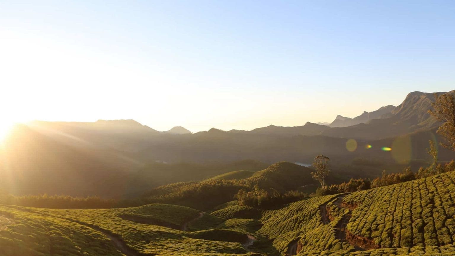 Munnar Trekking-Top 10 Experiences To Unleash Your Adventurous Spirit ...