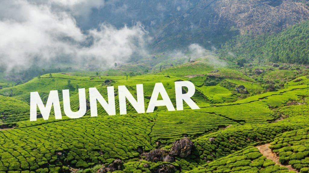 Coorg Vs Munnar- Which Is Best For You? (with Local Tips) – Iris Holidays