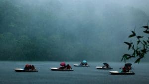 Experience The Perfect Weather In Wayanad: A Comprehensive Guide To ...