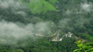 Experience The Perfect Weather In Wayanad: A Comprehensive Guide To ...