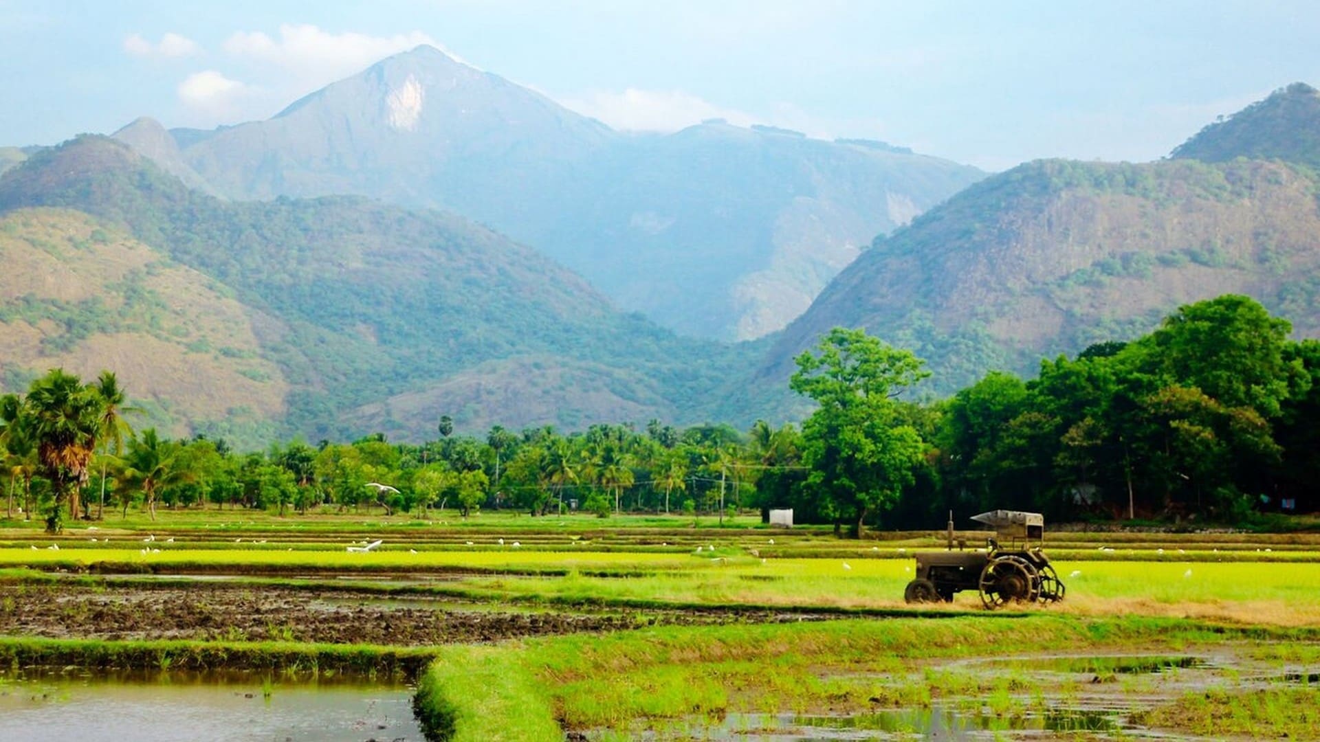 10 Best Places For A One Day Trip In Kerala With Family Or Friends ...