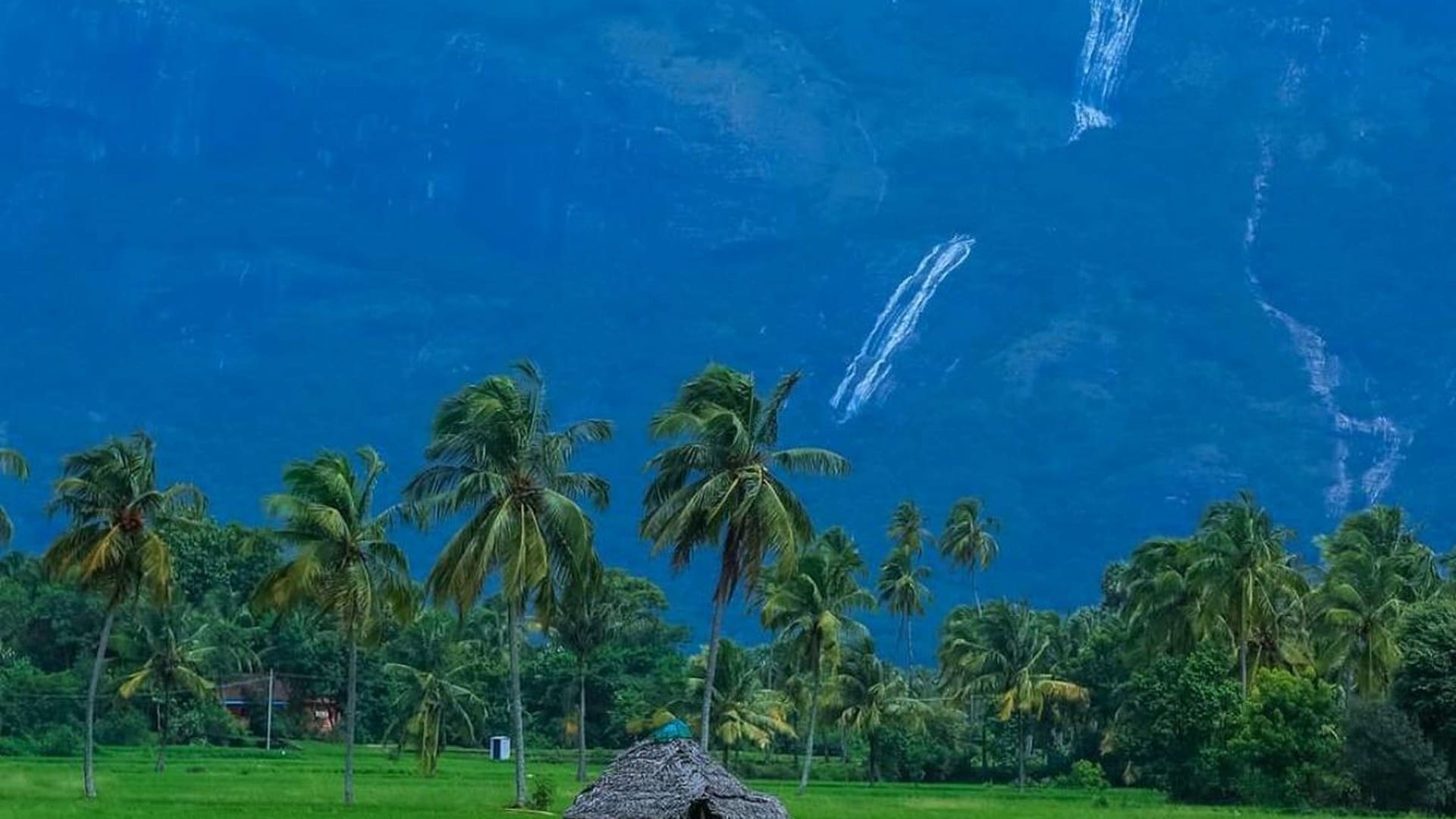 10 Best Places For A One Day Trip In Kerala With Family Or Friends ...