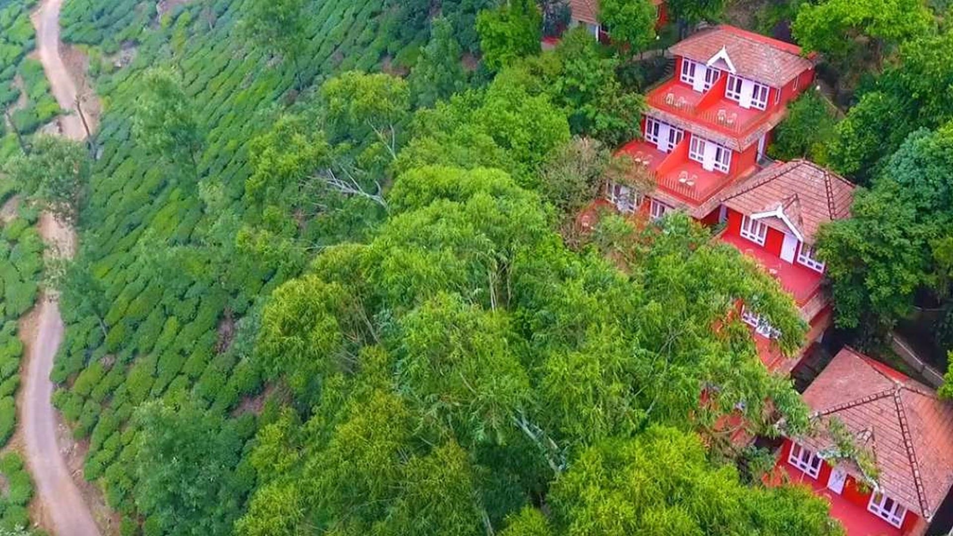 22 Best Resorts In Munnar: Hottest Picks For All Budgets – Iris Holidays