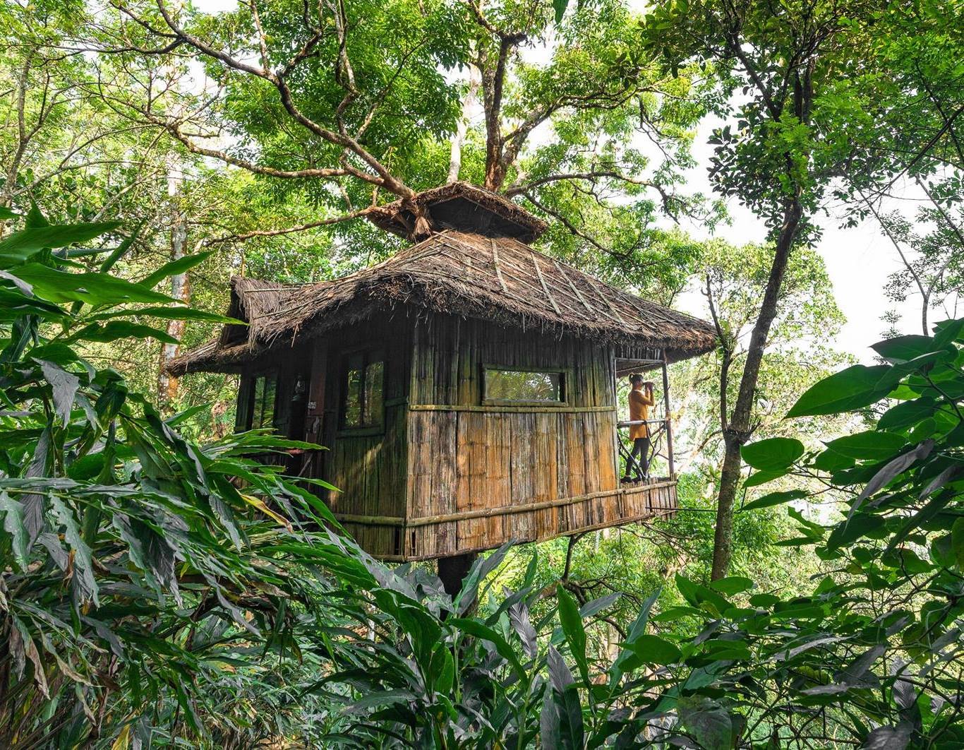 Munnar To Thekkady: India’s Most Scenic Road Trip – Iris Holidays