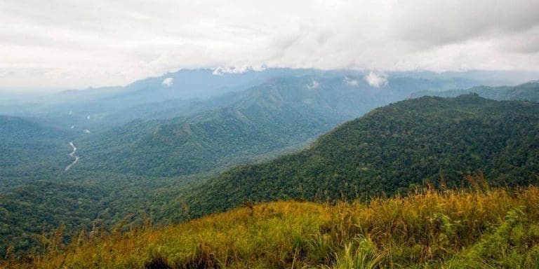 15 Most Fascinating Places To Visit In Wayanad – Iris Holidays