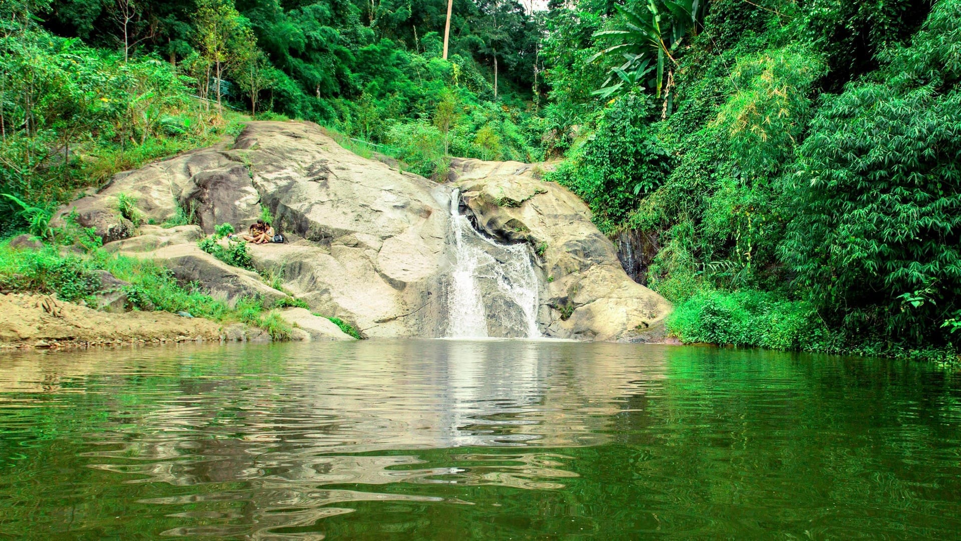 How To Reach Wayanad By Road, Rail & Air- Distance, Routes & Tips ...