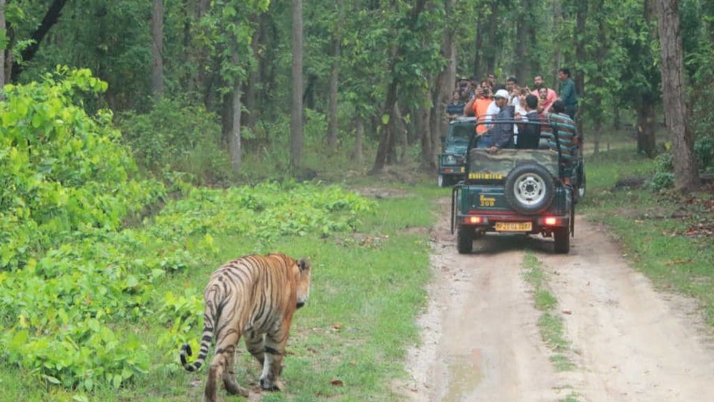 Bandipur National Park Guide- Tickets, Photos, Timings And Map – Iris Holidays