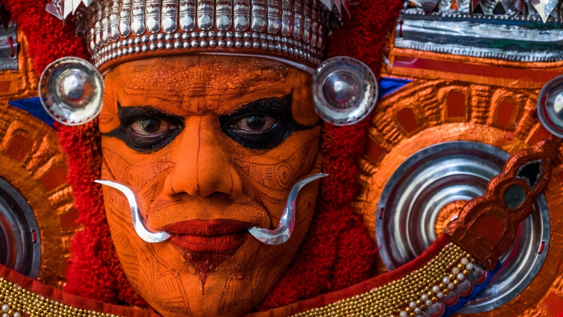 The Rich Culture Of Kerala: Art Forms, Dance, Festivals, Food & More ...