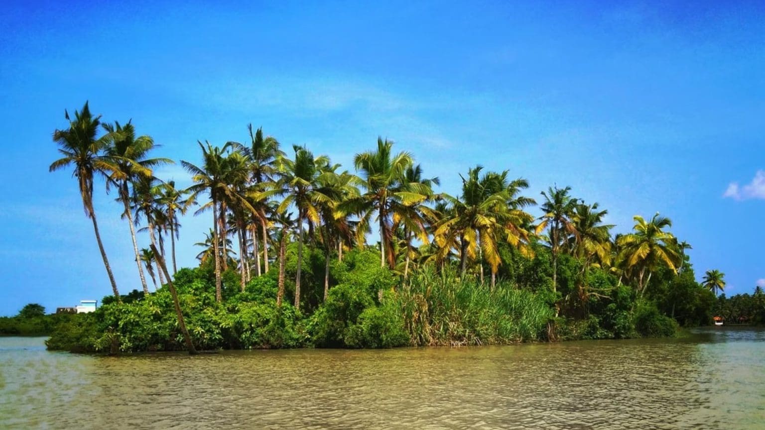 15 Best Places To Visit In Alleppey – Iris Holidays