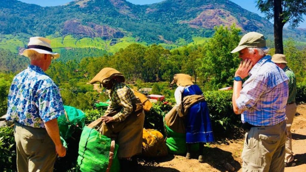 Lockhart Gap View Point Munnar- Activities & Attractions – Iris Holidays