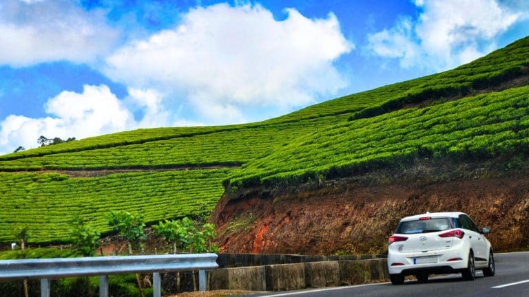 Kerala Language Words- Basic Malayalam For Tourists – Iris Holidays