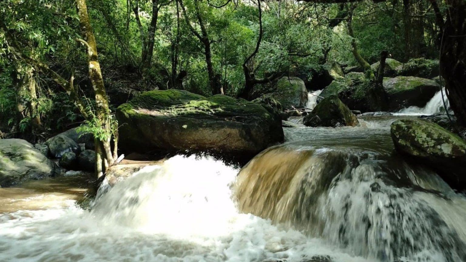 Vattavada Munnar-What To Know Before You Visit? – Iris Holidays