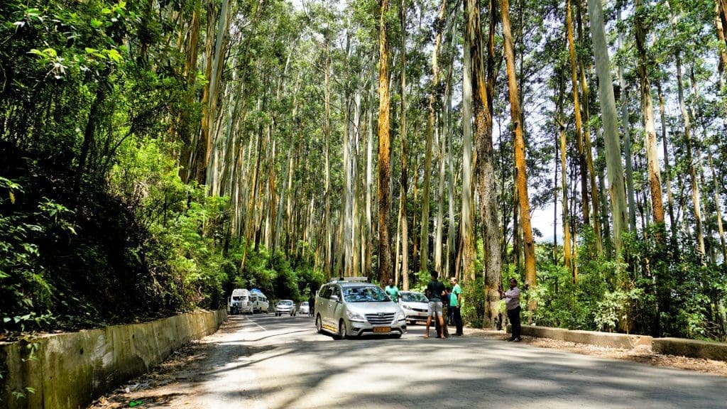 Ooty To Kodaikanal Travel Guide- Distance, Time, Costs – Iris Holidays
