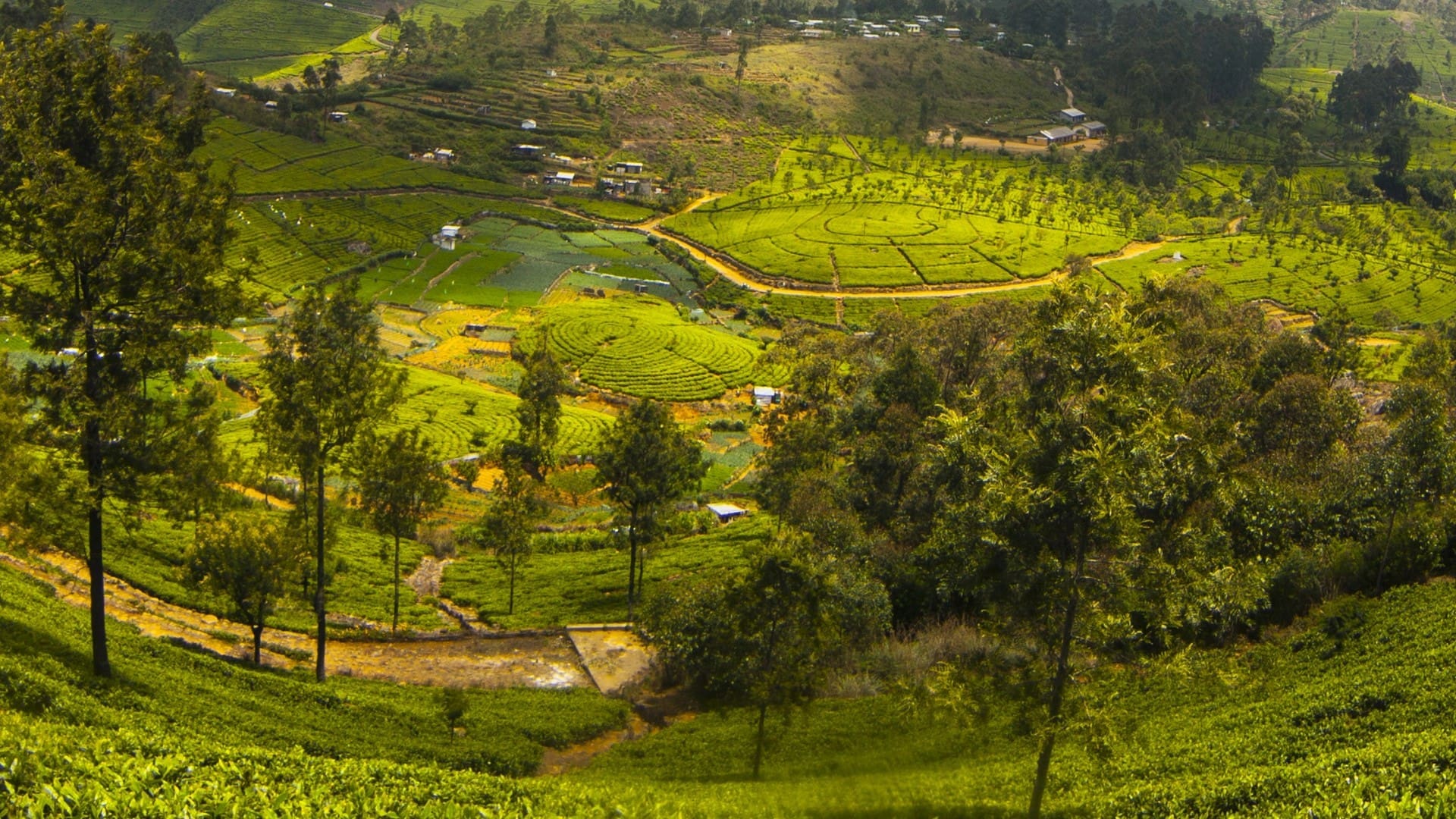 Vattavada Munnar-What To Know Before You Visit? – Iris Holidays