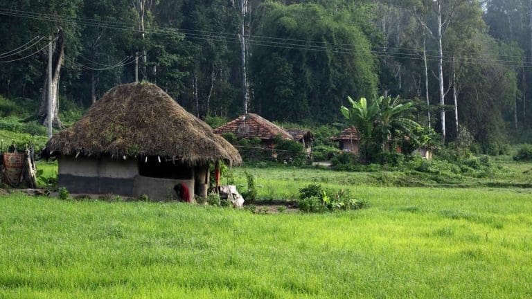 En Ooru Wayanad- Entry Fee, Visiting Time And Location – Iris Holidays