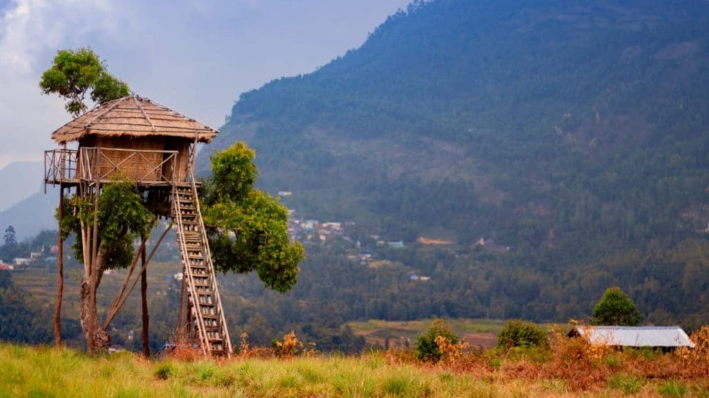 Munnar Itinerary For 2 Days-Must-Visit Places, Tips & Local Experiences ...