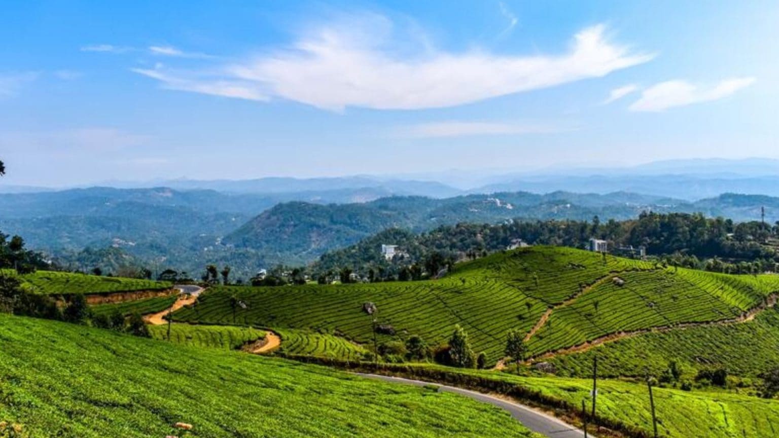 Munnar Distance Chart-Your Quick Guide To Reach Munnar – Iris Holidays