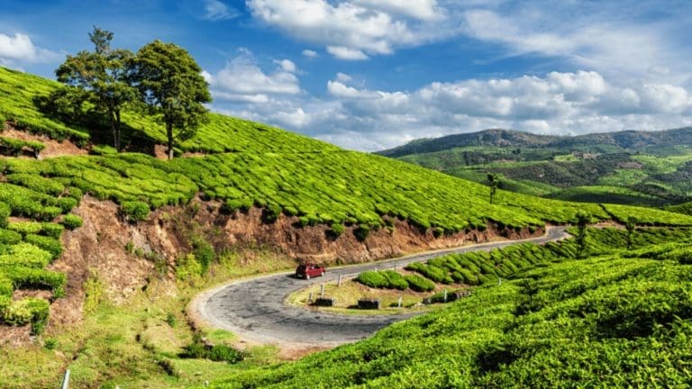 Munnar Distance Chart-Your Quick Guide To Reach Munnar – Iris Holidays
